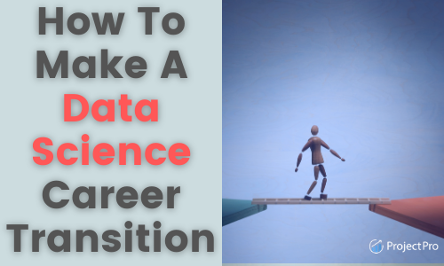 How to Make a Data Science Career Transition in 2022?